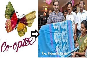 Co-optex coming up with wide range of eco friendly saris | | YnFx