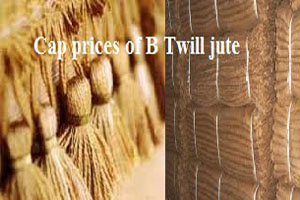 Jute Commissioner initiate process to cap prices of B Twill jute | | YnFx