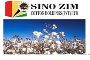 Sino Zim plans to take on cotton farming | | YnFx