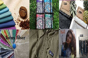 Six alternative natural resources that can be turned into sustainable ...