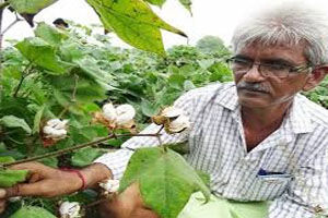 Telangana State to issue bar-coded ID cards for cotton growers | | YnFx