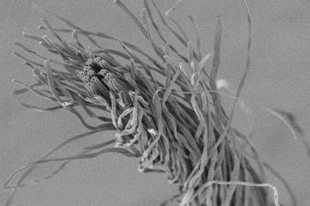 Teijin Frontier develops new polyester yarn, Octa®sf | YnFx